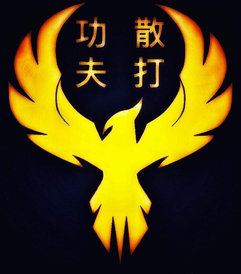 Phoenix Freestyle Martial Arts | BMABA Official Martial Arts National ...